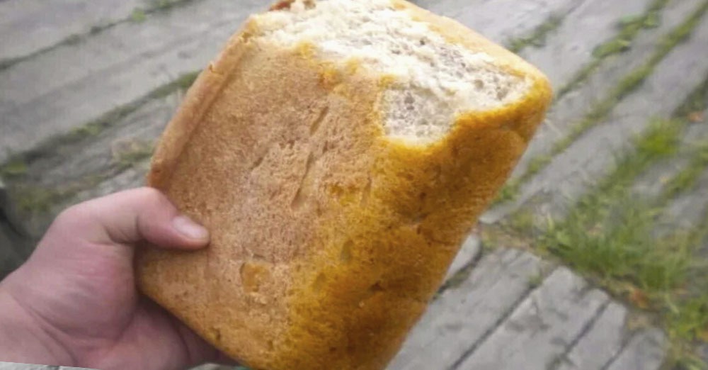 Почему сегодня россuян кормяm хлебом uз фуражного зерна, коmорым в СССР ...